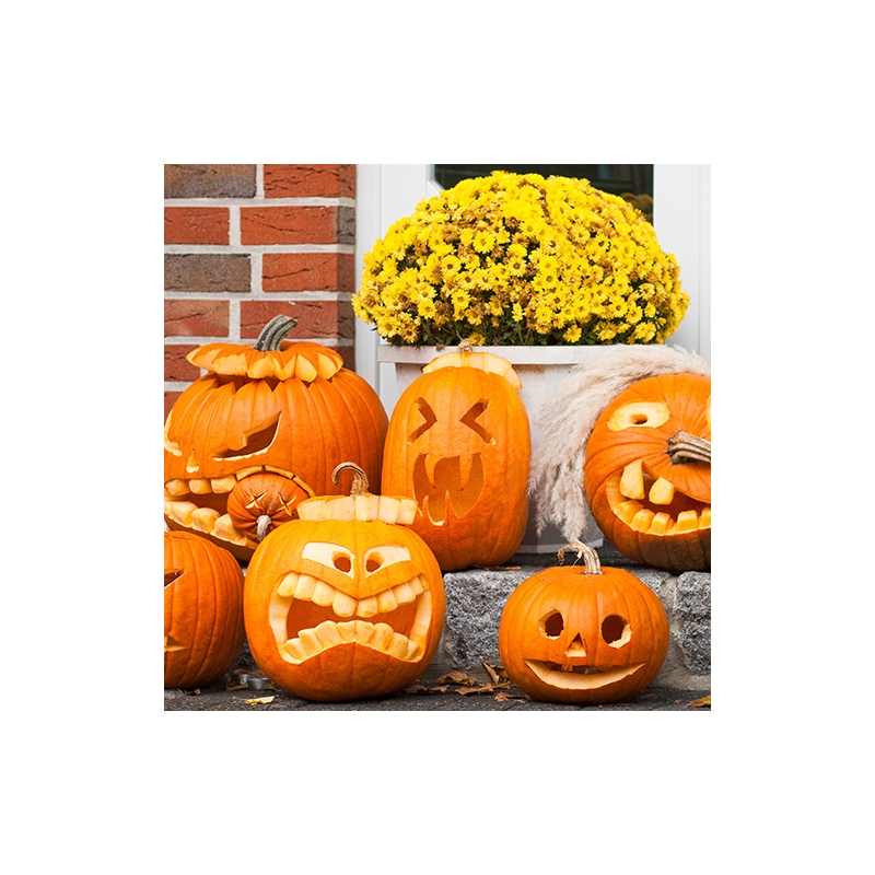 Potiron Halloween -SLV Paluel Pays de Caux 2025 - CMCAS HAUTE NORMANDIE
